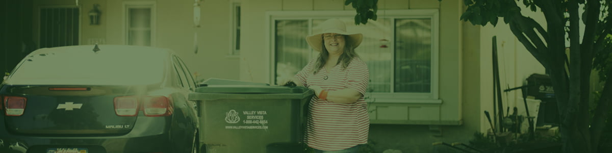 Payment Portal - Valley Vista Services